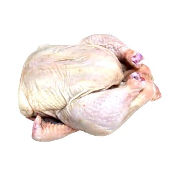 MaxMart Online . Chicken & Poultry