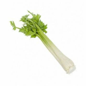 MaxMart Online . Celery